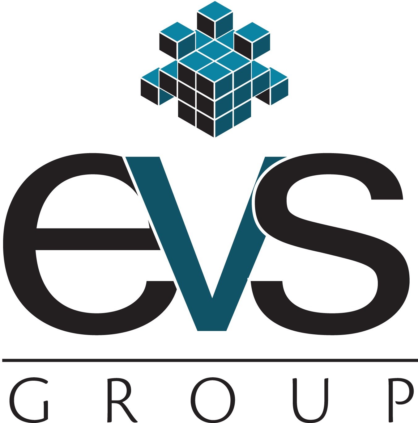 evs_group | DATA MINER